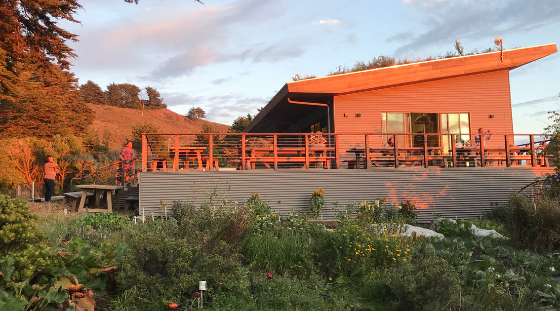 Visiting Shao Shan Farm and the Asians of West Marin Potluck – Aplat